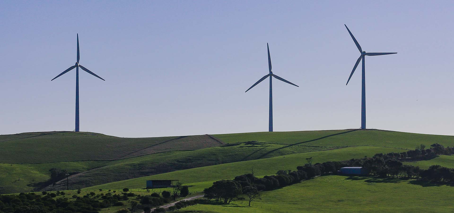 Fecify Sky B2B theme